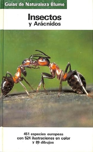 Insectos y arácnidos - Libros Vividos